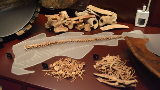 In pictures: Life and death on the Mary Rose - BBC News