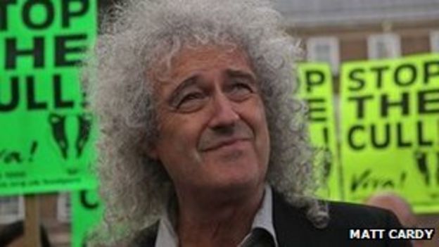 Brian May launches legal challenge to Gloucestershire badger cull - BBC ...