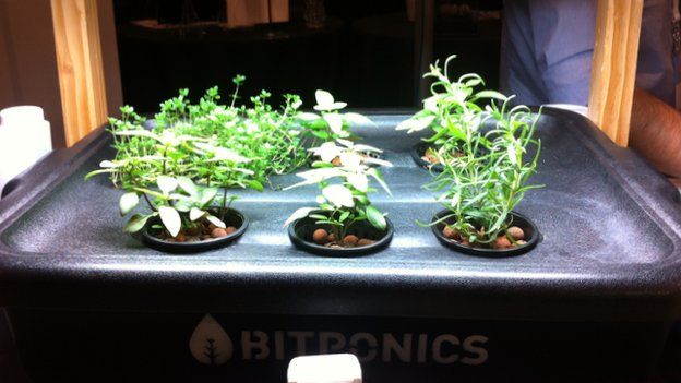 The technology that's transforming gardening - BBC News