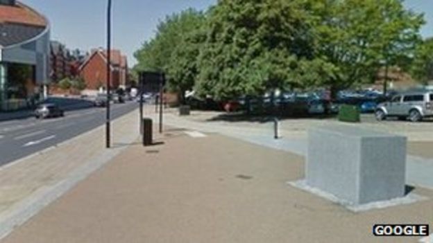 Edith Cook: Statue plan for Britain's first female pilot in Ipswich ...