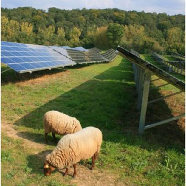 Revised Fareham solar farm plans on show - BBC News