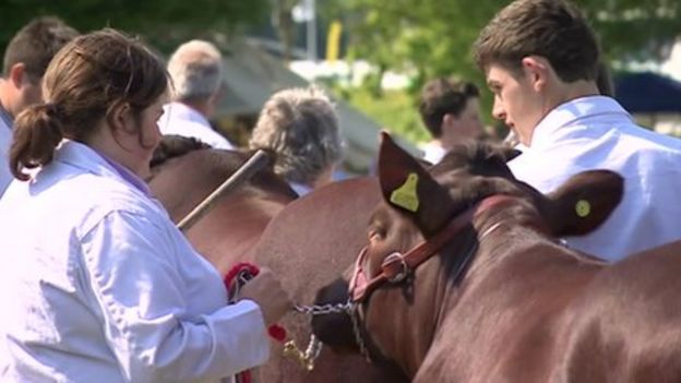 Ardingly show farmers say crop yields down after 'awful' weather - BBC News