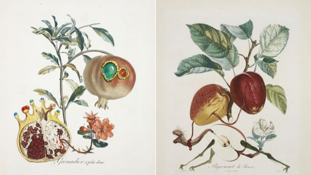 In pictures: Salvador Dali fruit watercolours - BBC News