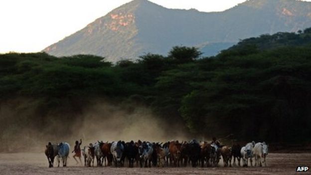 Letter from Africa: Mau Mau and the meaning of money - BBC News