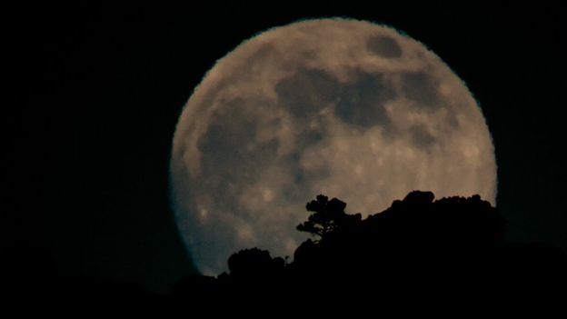 Supermoon: Your pictures of the perigee Moon - BBC News