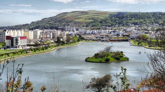 Manx wildlife charity's efforts to reduce biodiversity decline - BBC News