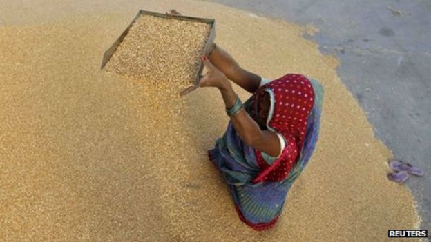 India starts subsidised food plan - BBC News