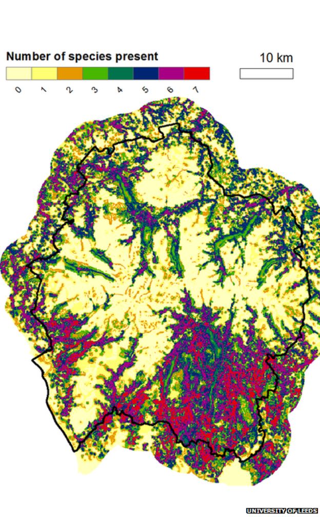 Maps offer insight into UK bat distribution - BBC News