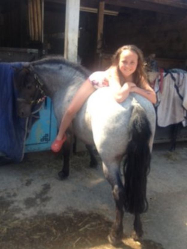 Marazion drowned pony 'swam to its death' - BBC News