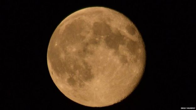 Your week in pictures - BBC News