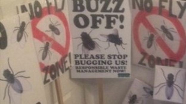 Plant blamed for fly plague faces new sanctions - BBC News