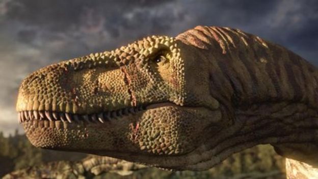 Dinosaur experts launch online university course - BBC News