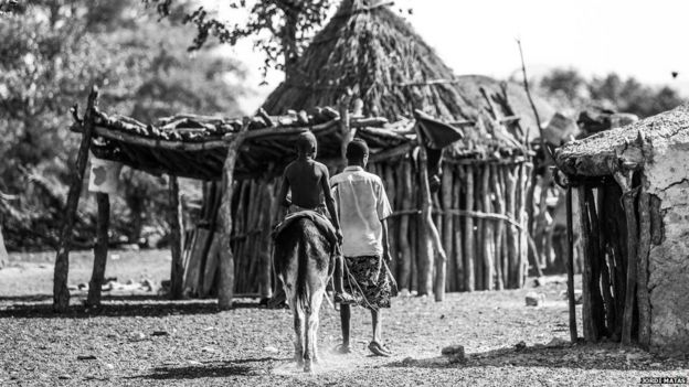 In pictures: Namibia's worst drought for 30 years - BBC News