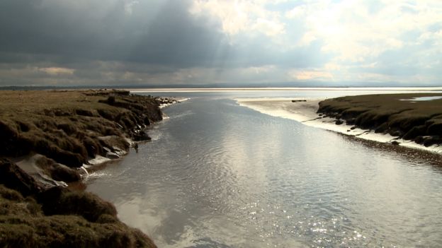 In pictures: River Sark takes arts festival role - BBC News