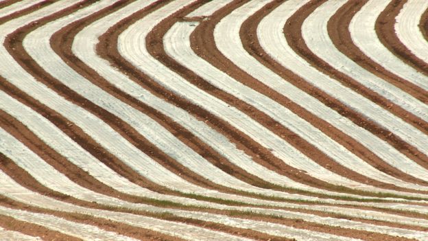 In pictures: River Sark takes arts festival role - BBC News