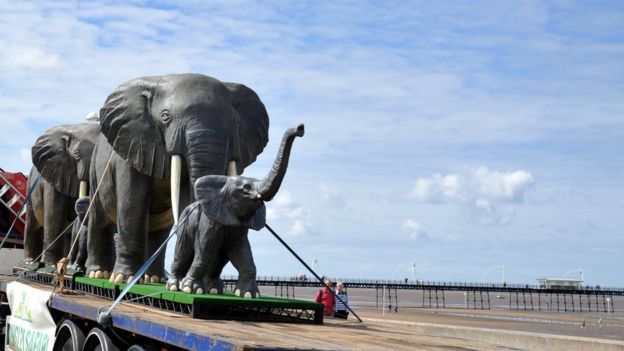 In Pictures: A jumbo tour to highlight plight of elephants - BBC News