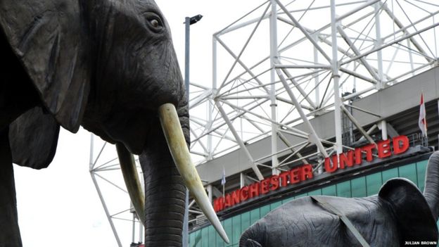 In Pictures: A jumbo tour to highlight plight of elephants - BBC News