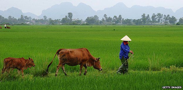 Vietnam profile - Overview - BBC News
