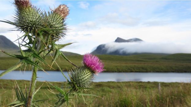 Your pictures of Scotland: 16 - 23 August - BBC News