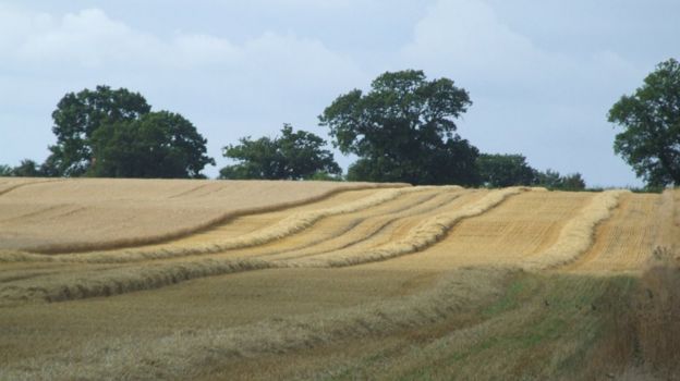 Broadland council deputy leader Stuart Clancy arrested - BBC News