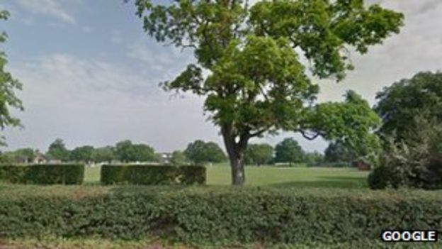 Woodley park set to get WWI memorial - BBC News