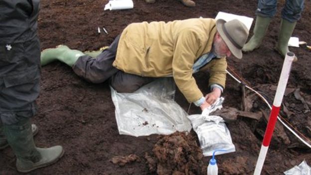 World's oldest bog body hints at violent past - BBC News