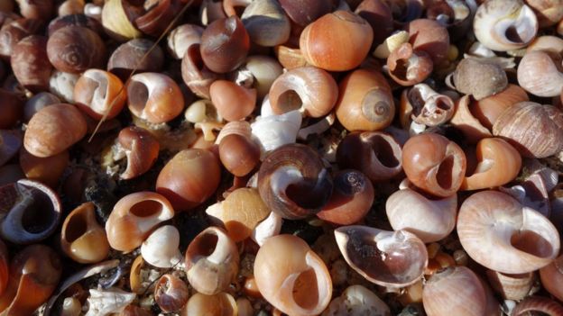 Your pictures of Scotland: 6 - 13 September - BBC News