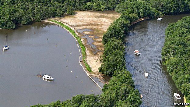 Norfolk Broads: Rare plants colonise Salhouse bank restoration - BBC News
