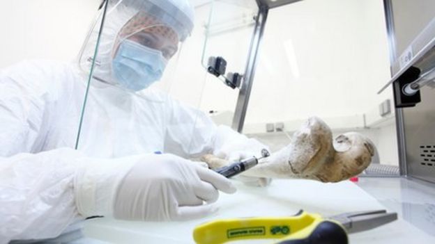 European origins laid bare by DNA - BBC News