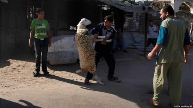 Day in pictures: 11 October 2013 - BBC News