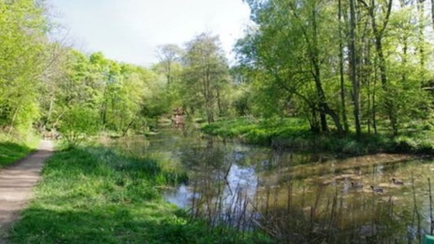 Middlesbrough group to unearth sunken path's history - BBC News