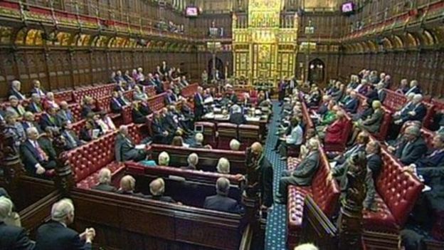 New hereditary peer elected to House of Lords - BBC News