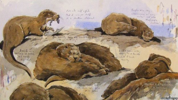 In pictures: Art showcases Fife reserve's wildlife - BBC News