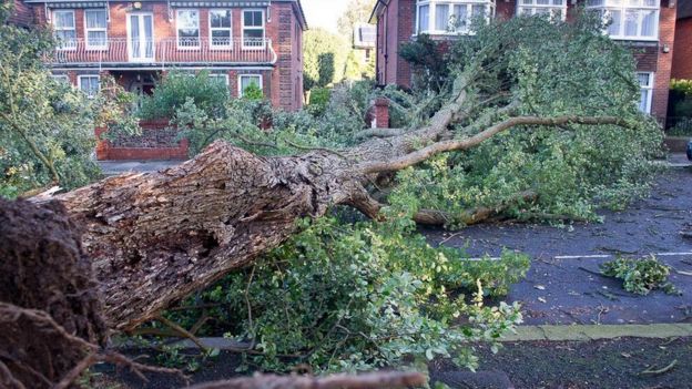 Your pictures from the UK storm - BBC Weather