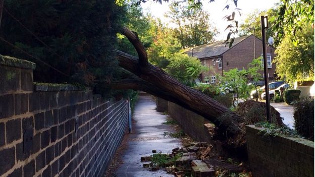 Your pictures from the UK storm - BBC Weather