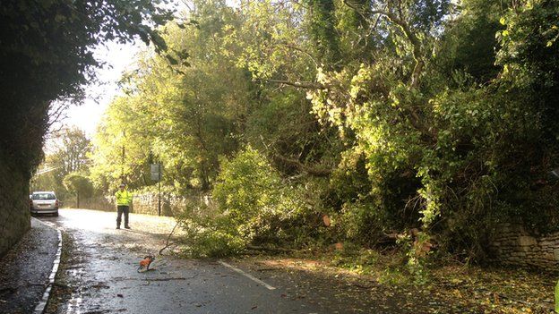 Fallen trees cause damage in West Country storm - BBC News