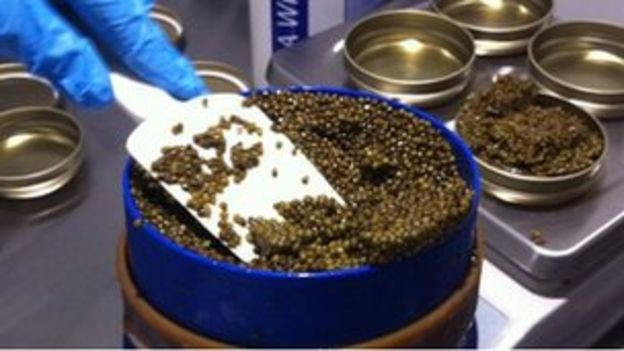 Caviar: More than just posh nosh? - BBC News
