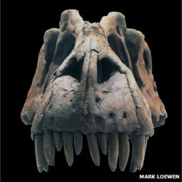 Predatory 'king of gore' dinosaur discovered - BBC News
