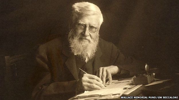 Evolution pioneer honoured by statue and new wasp genus - BBC News