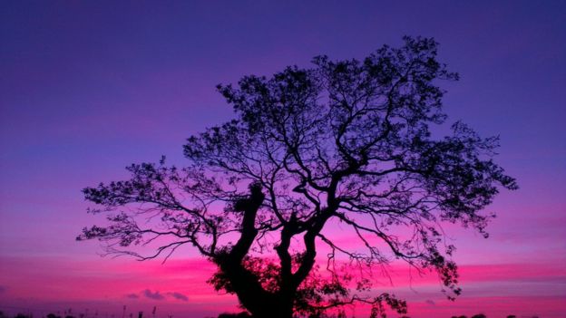 Your recent photos - BBC Weather