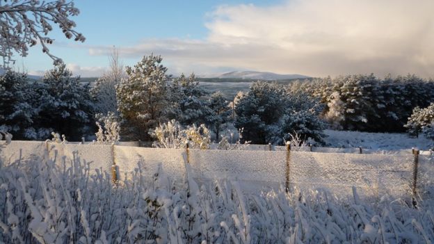 Your photos of wintry weather - BBC Weather