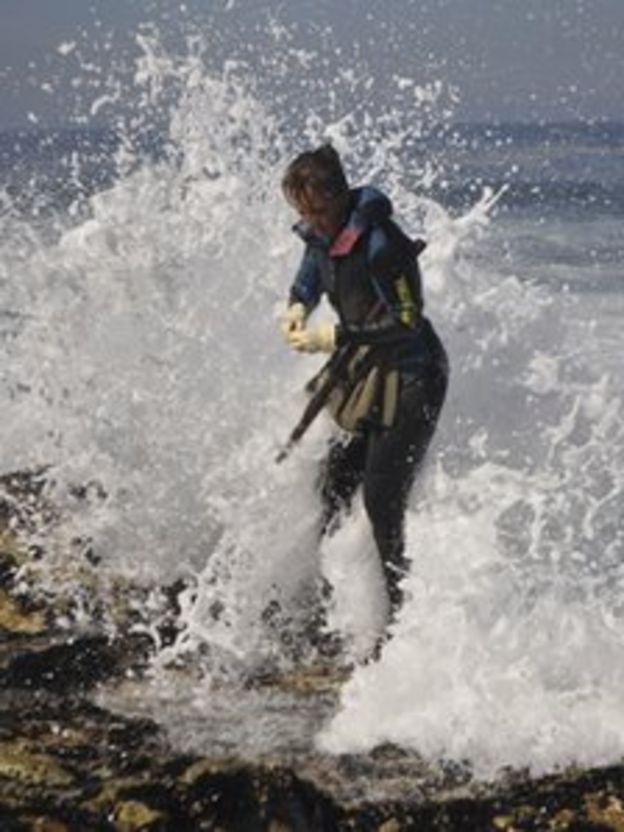 Scraping by on barnacles in Spain - BBC News