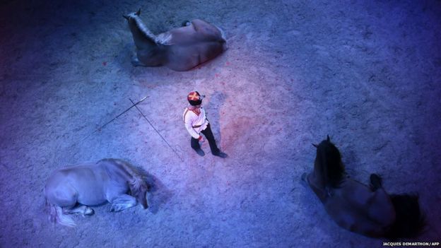 Day in pictures: 29 November 2013 - BBC News