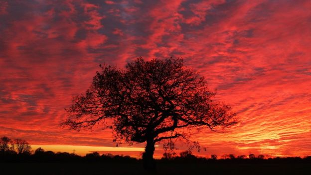 Your beautiful weather photos - BBC Weather