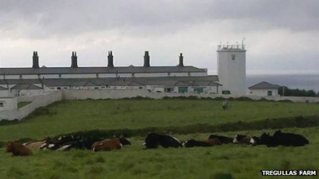Cornish farming challenge 'a childhood dream' - BBC News