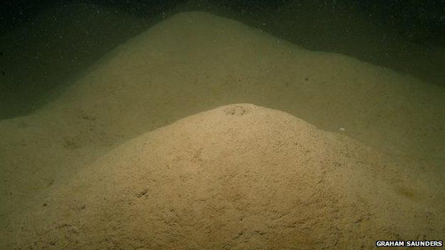 'UK's biggest' mud volcano worm habitat in Argyll loch - BBC News