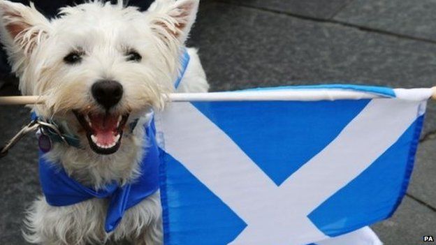 Scotland's referendum: Ten things we learned in 2013 - BBC News