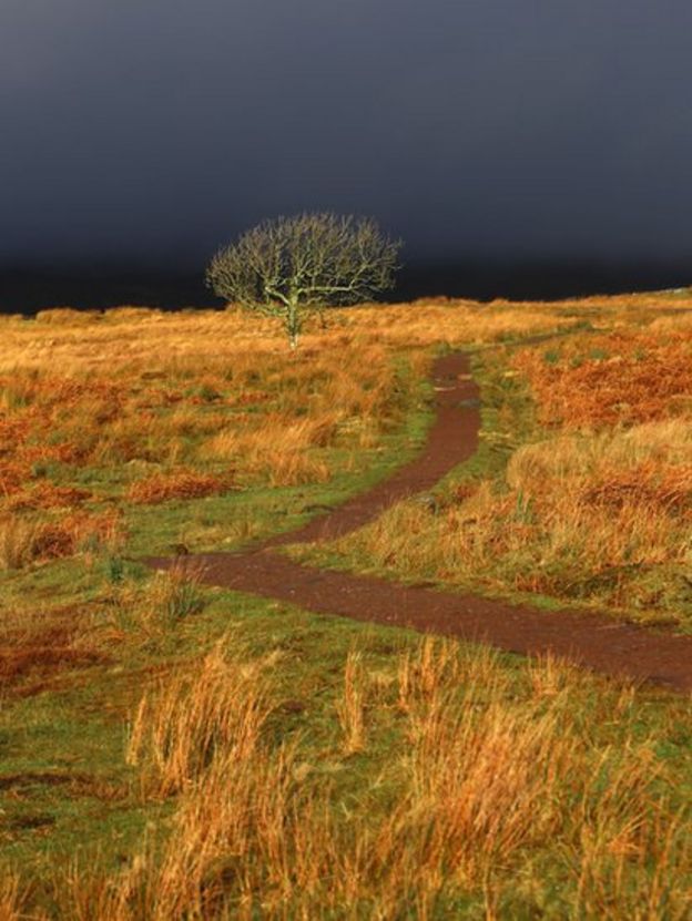 Your pictures of Scotland: 27 December - 3 January - BBC News