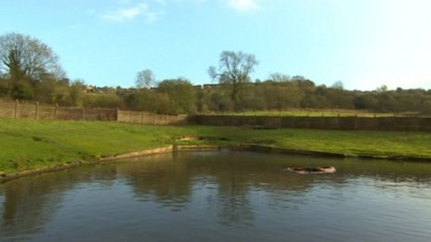 Brockswood Animal Sanctuary flooded - BBC News
