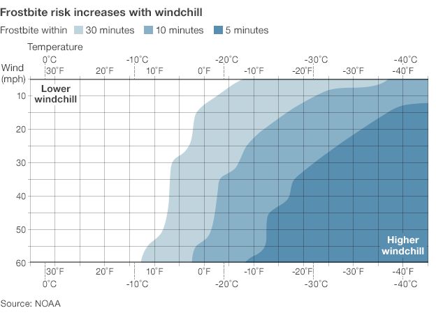 North America Arctic blast arrives in the east - BBC News